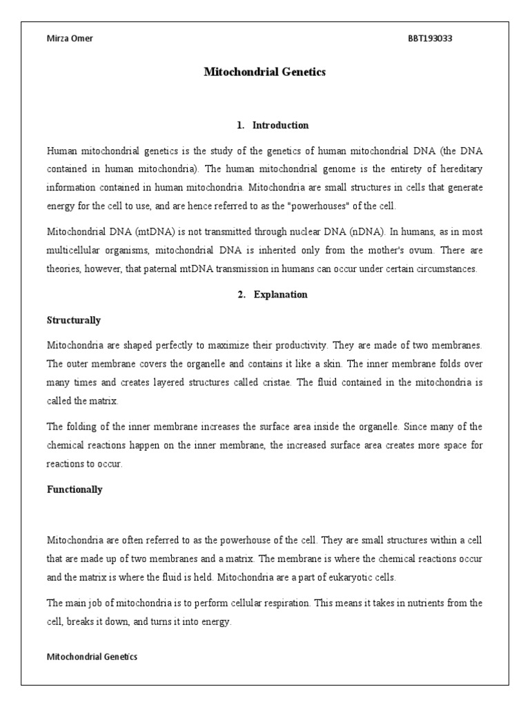 Mitochondrial Genetics | PDF | Mitochondrion | Mitochondrial Dna