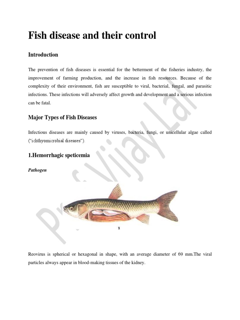 Fish Disease and Their Control | PDF | Pathogen | Infection