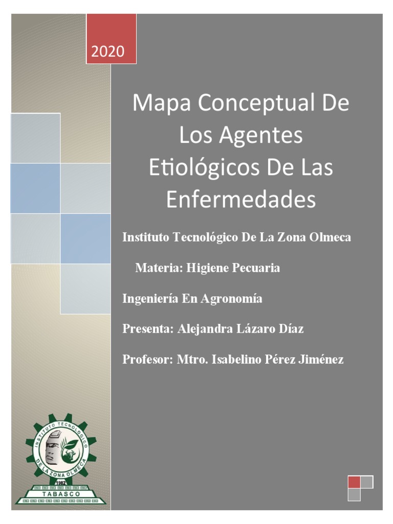 Mapa Conceptual de Los Agentes Etiológicos de Las Enfermedades | PDF
