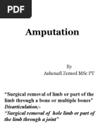 PPAM Aid: A Guide for Amputees | PDF | Amputation | Prosthesis