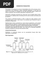 Cryogenic Piping Design | PDF | Thermal Insulation | Stainless Steel