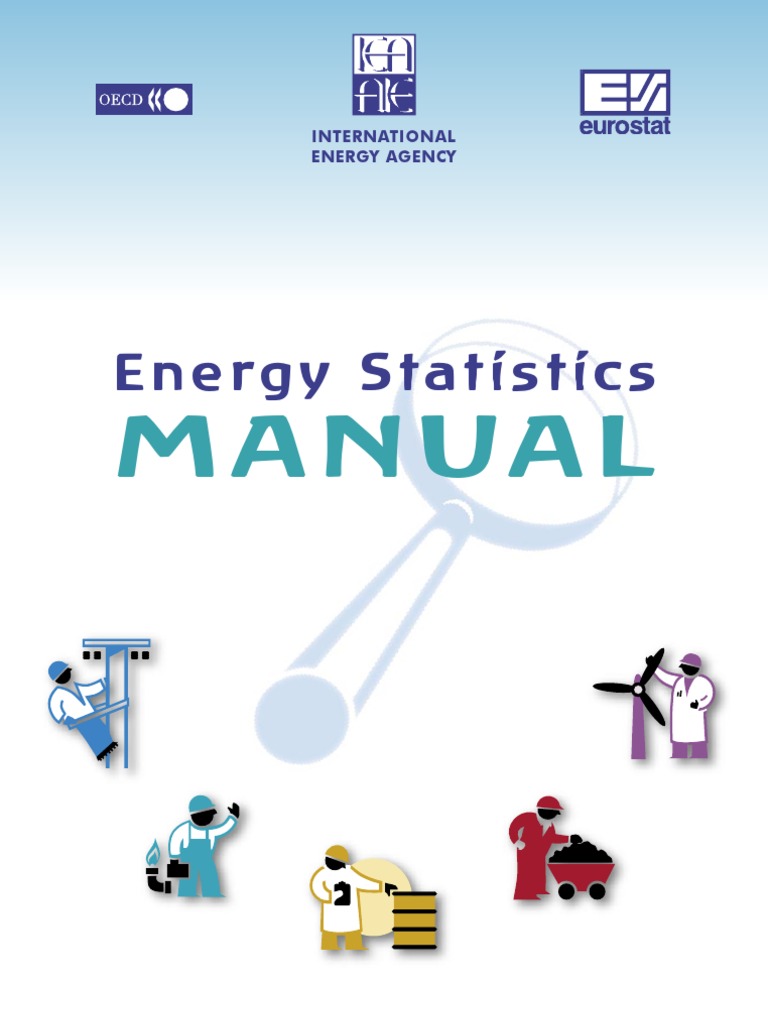 Statistics Manual | PDF | Fuels | Natural Gas