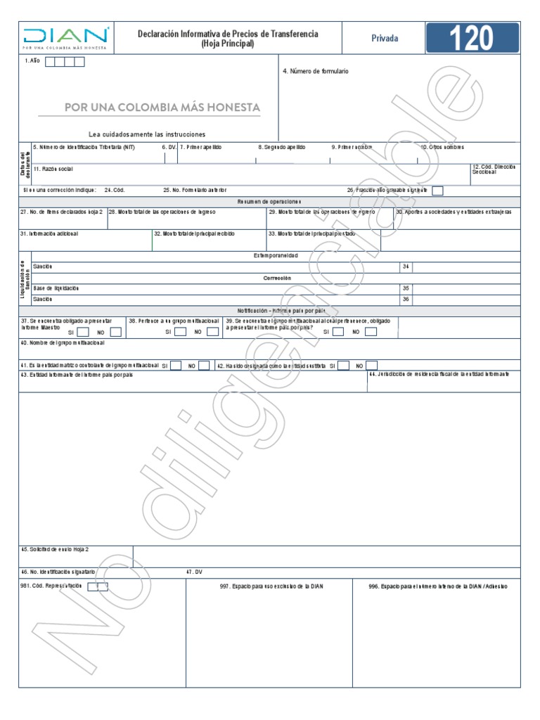 Formulario 120 Año Gravable 2019 | PDF | Estado de resultados | Margen ...