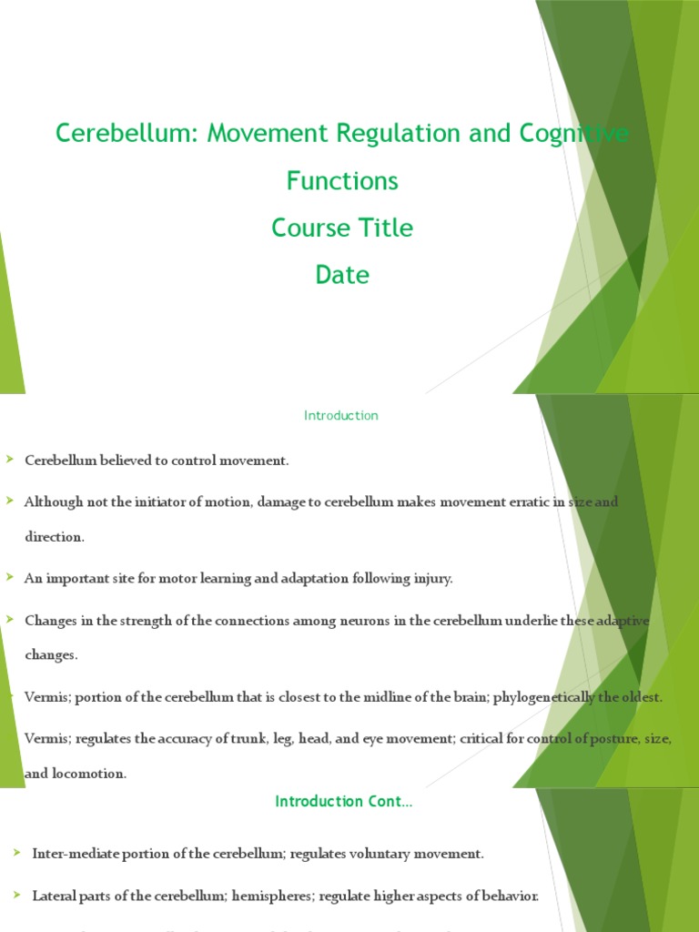 Cerebellum: Movement and Cognition Insights | PDF | Cerebellum ...