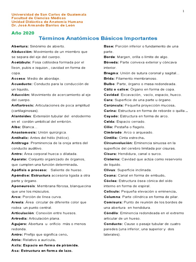Terminología Anatomica Básica | PDF | Articulación | Hueso