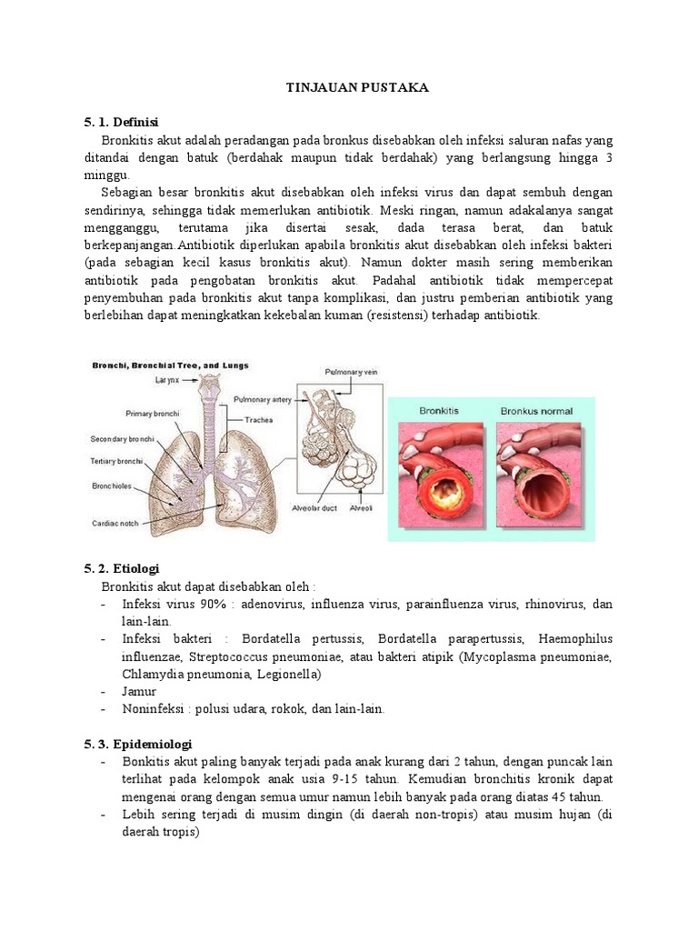 Kasus Bronkitis | PDF