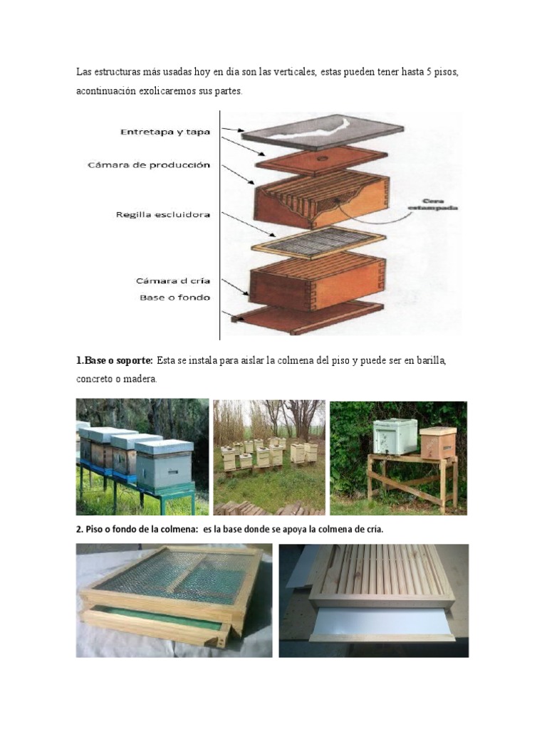 Estructura De La Colmena Pdf