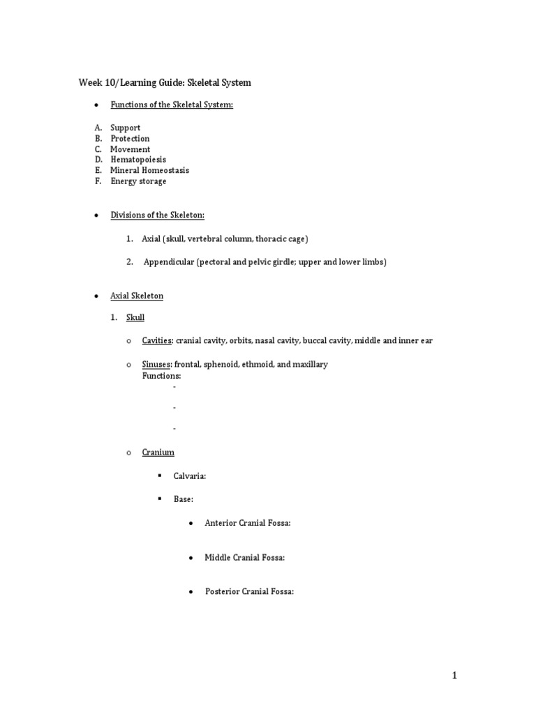 Week 10 Guide: Skeletal System Overview | PDF | Vertebral Column | Skull