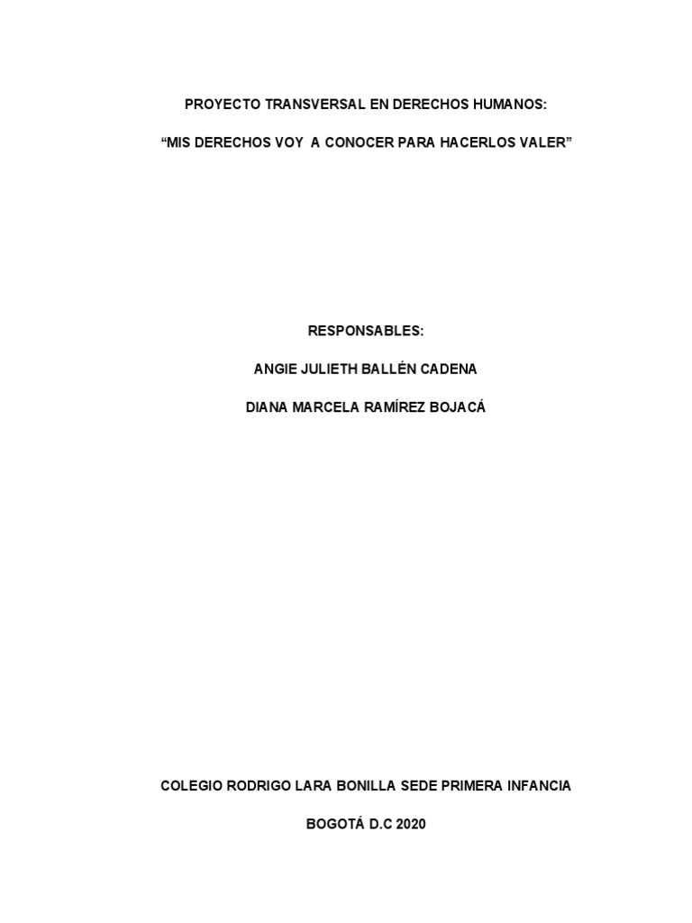 Proyecto Transversal en Derechos Humanos | PDF | Derechos humanos | Democracia