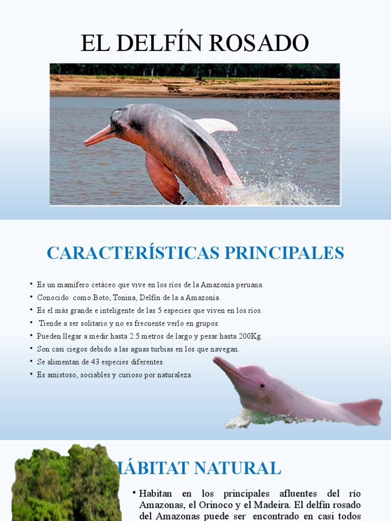 El Delfín Rosado | PDF | Ecología | Organismos