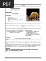 Ácaros del polvo: Dermatophagoides y Euroglyphus | PDF | Alergia