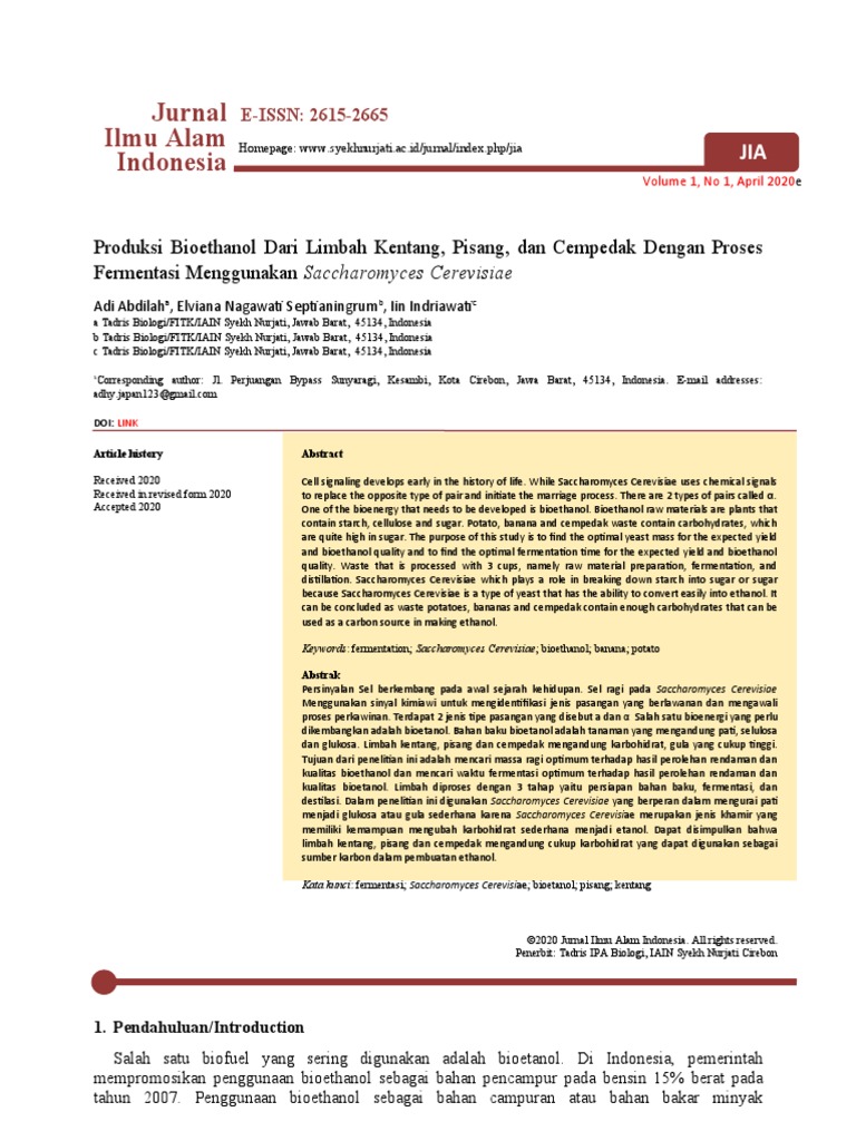 Draft Review Jurnal | PDF | Yeast | Renewable Fuels
