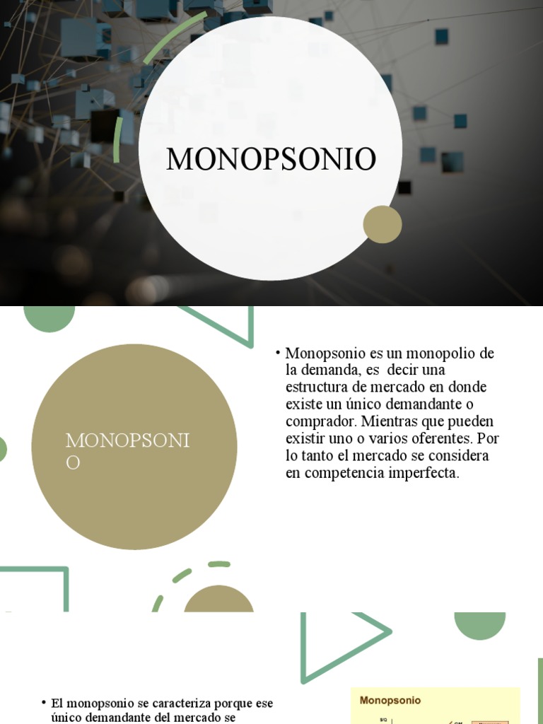 Monopsonio | PDF | Oferta (economía) | Mercado (economía)