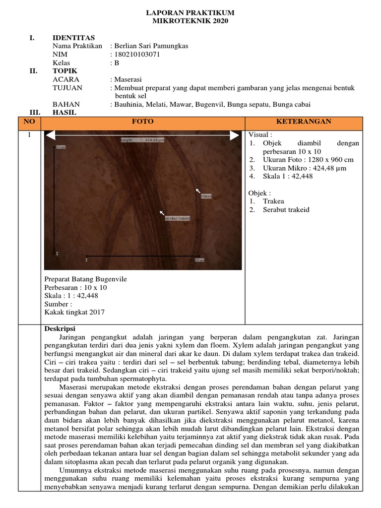Preparat Maserasi | PDF
