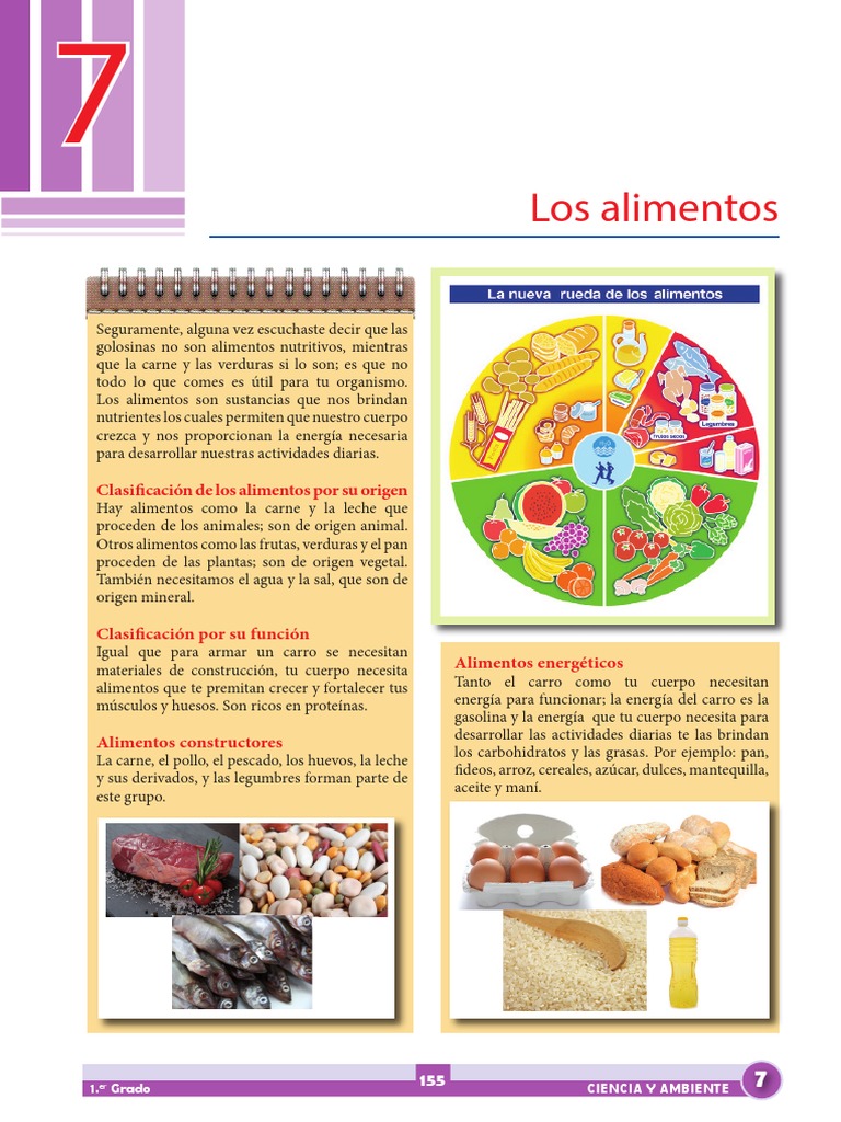 Ca - P - 1° Grado - S7 - Los Alimentos | PDF | Vegetales | Alimentos