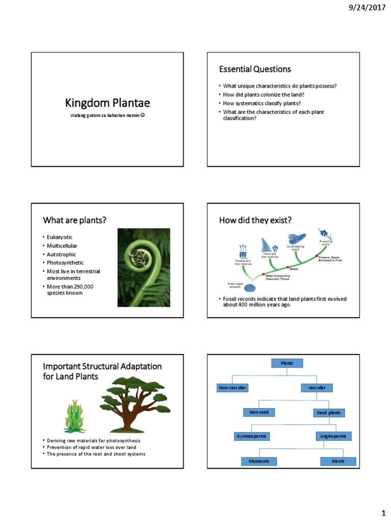 Kingdom Plantae: Essential Questions | PDF | Moss | Plants