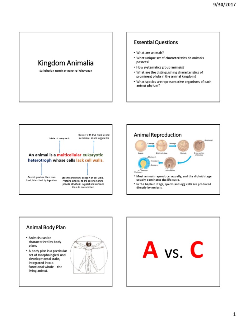 Kingdom Animalia: Essential Questions | PDF | Cell (Biology) | Biology