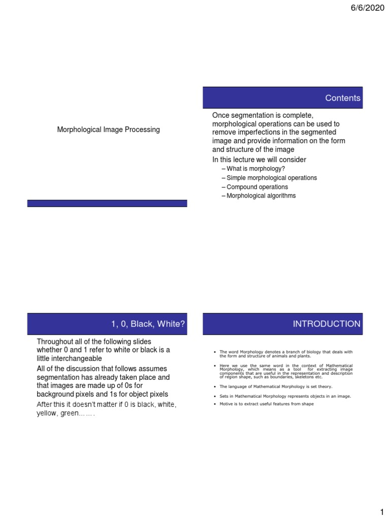 Morphology Students | PDF | Graphics | Multidimensional Signal Processing