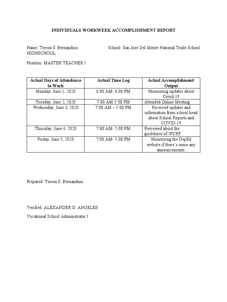 Individuals Workweek Accomplishment Report | PDF