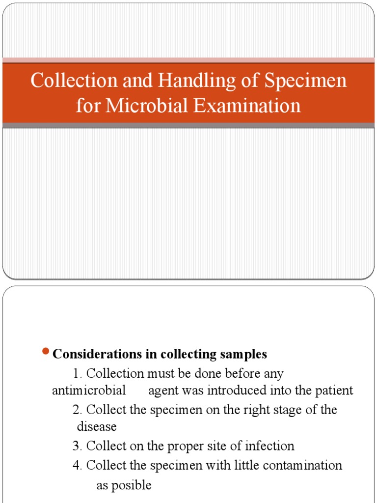 Collection and Handling of Specimen For Microbial Examination | PDF ...