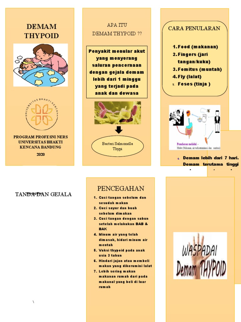 Leaflet Thypoid | PDF