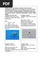 NOAA Shark Identification Placards | PDF | Sharks | Vertebrates