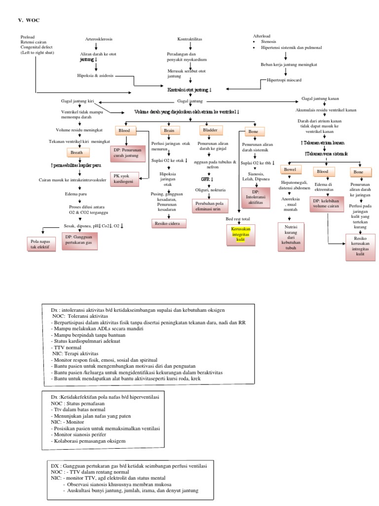WOC CHF Diryanto | PDF