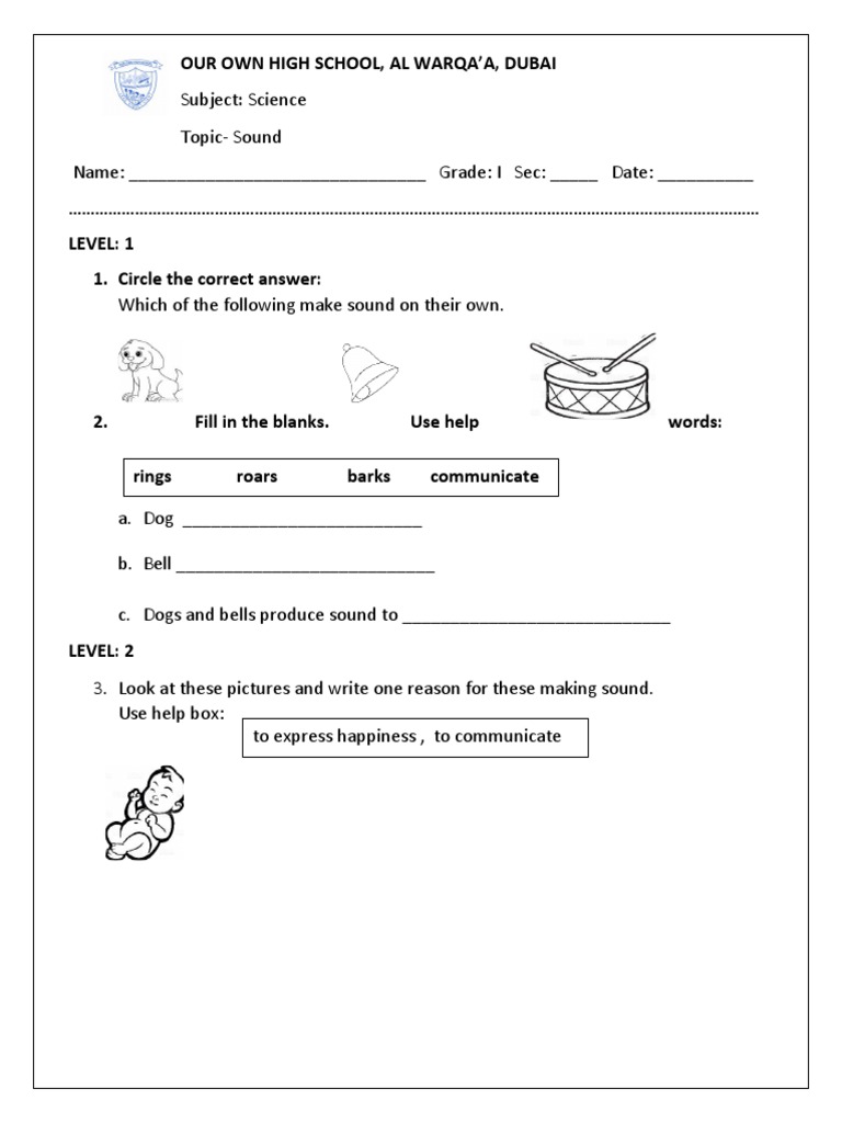 Grade 1 Sound Sources Worksheet | PDF