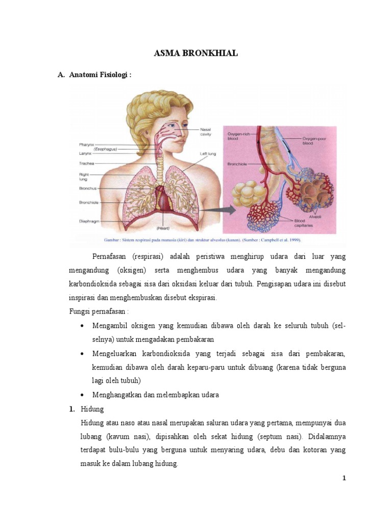 Laporan Asma Bronkhial | PDF