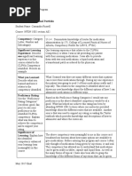 Cno Learning Plan | PDF | Nursing | Goal