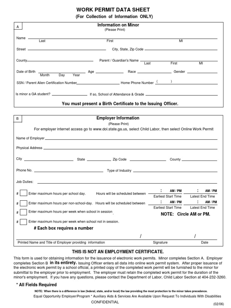 Work Permit Data Sheet | Download Free PDF | Employment | Government ...