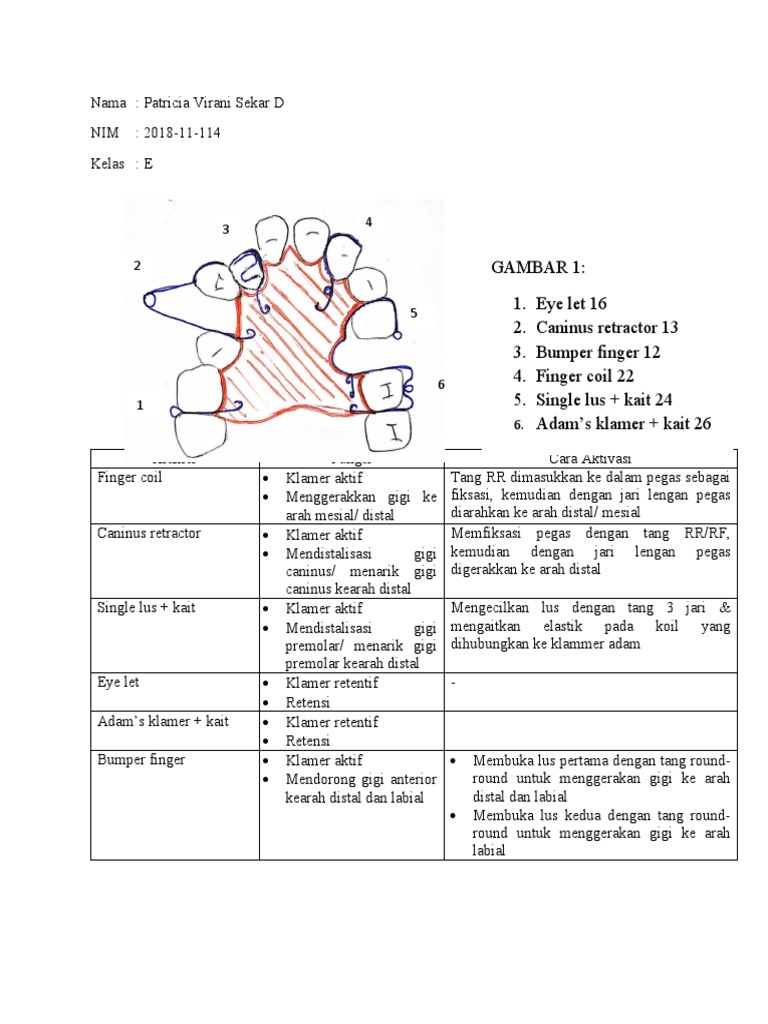 Disain Klamer Orto | PDF