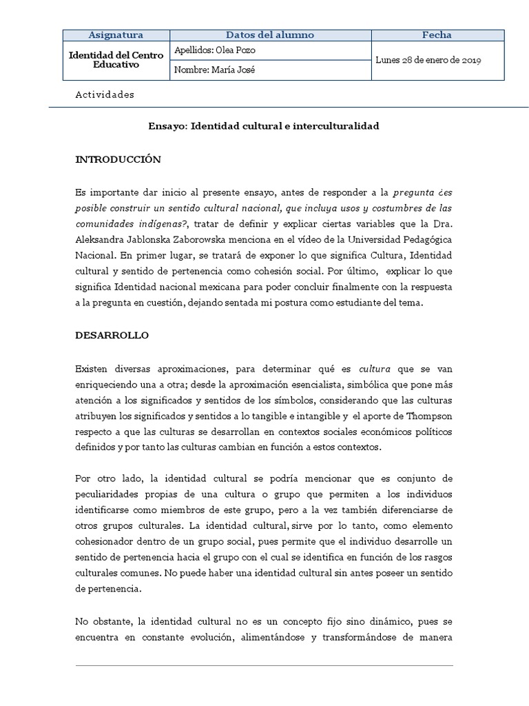 Ensayo - Identidad Cultural e Interculturalidad | PDF ...