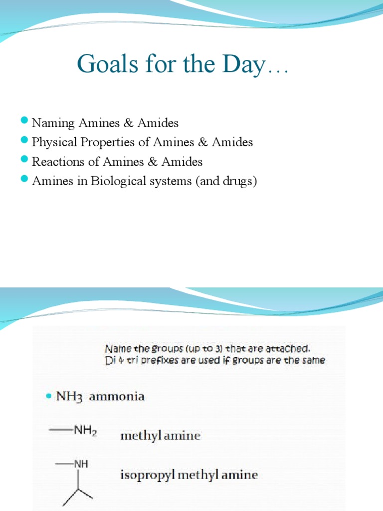 Lesson 17 Amines and Amides | PDF | Amide | Amine