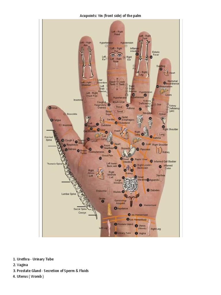 Acupoints - One Point PDF | Download Free PDF | Cough | Esophagus