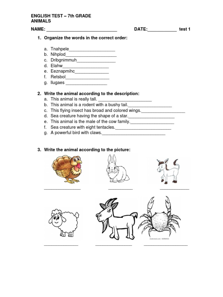 ENGLISH TEST ANIMALS | PDF | Organisms | Nature
