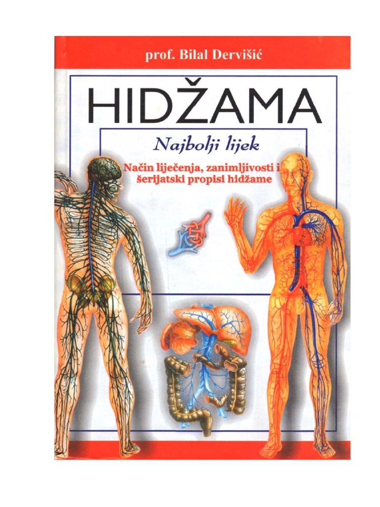 Hidzama, Najbolji Prof. Bilal Dervisic