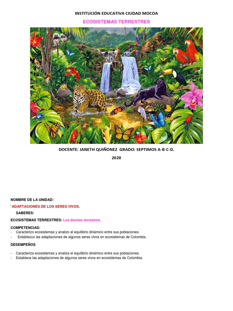 Grado 7 Los Ecosistemas Terrestres | PDF