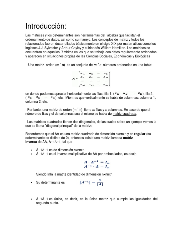Actividad Integradora Algebra Lineal | PDF | Determinante | Matriz ...