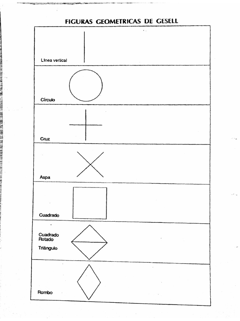 Test de Gesell | PDF