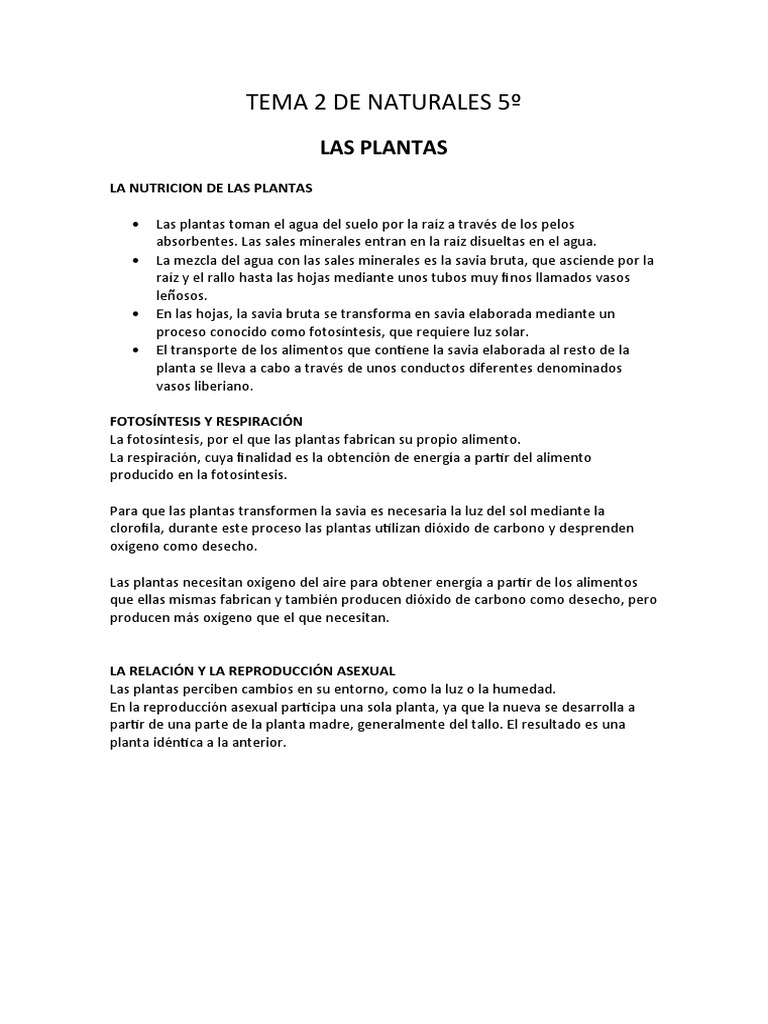 Savia Bruta y Elaborada en Plantas | PDF | Flores | Plantas
