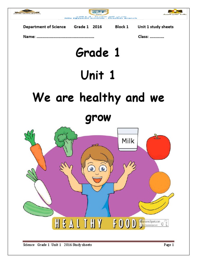 Grade 1 Science Unit 1 Study Sheets | PDF