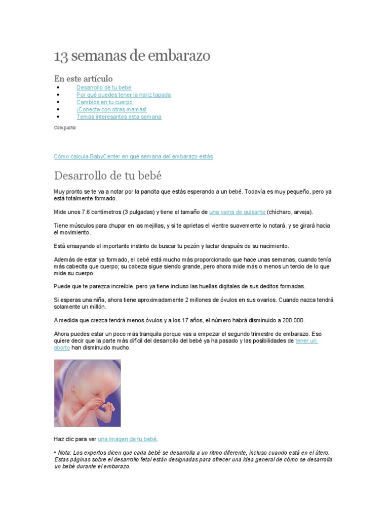 13 Semanas de Embarazo | PDF | El embarazo | Pecho
