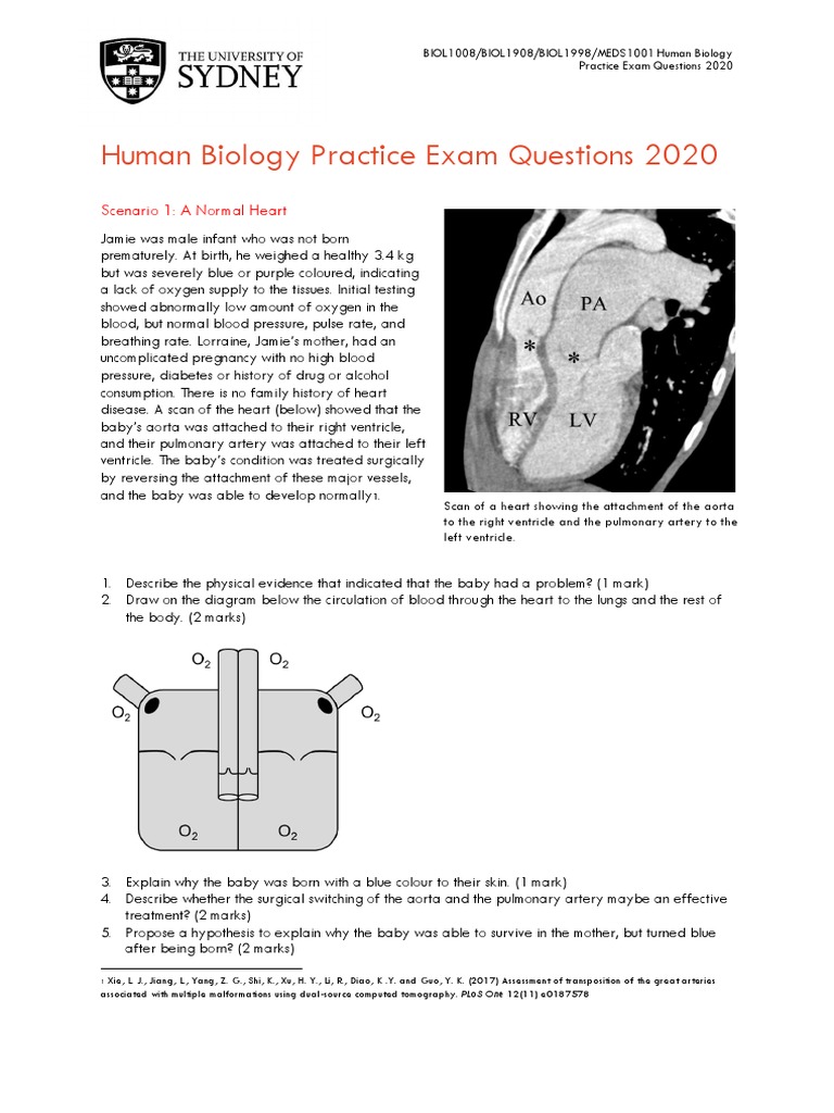 Human Biology Practice Exam Questions 2020 PDF | PDF | Heart | Diabetes