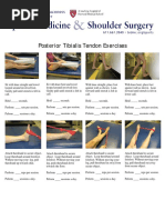 Buerger Allen Exercises | PDF