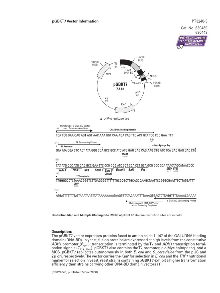 pGBKT7 PDF | PDF | Vector (Molecular Biology) | Plasmid