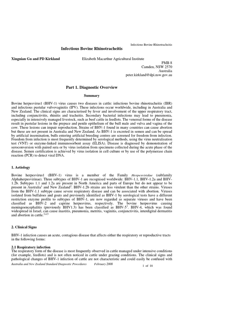 ANZSDP Infectious Bovine Rhinotracheitis IBR | PDF | Elisa | Infection