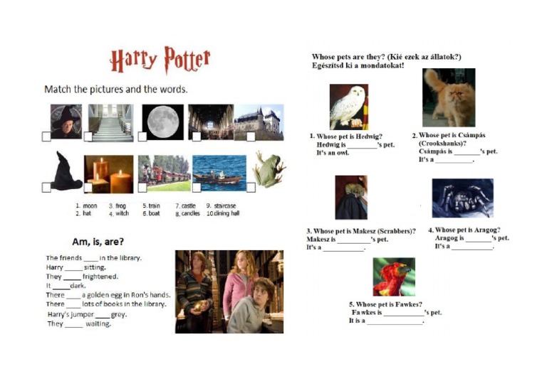 Harry Potter Exercise Sheet For Beginners | PDF