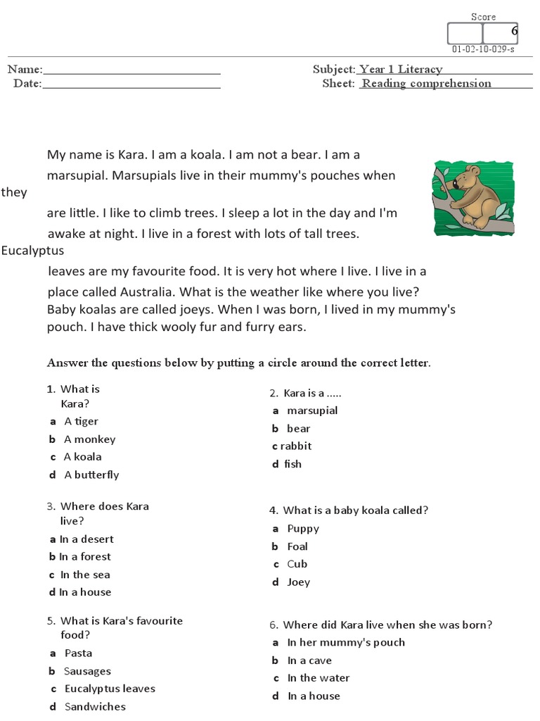 Name: Subject: Year 1 Literacy Date: Sheet: Reading Comprehension | PDF ...