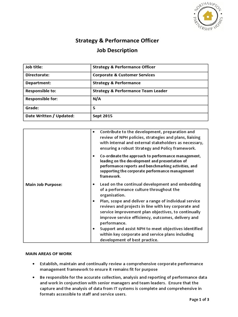 Strategy & Performance Officer Role | PDF | Data Quality | Regulatory ...